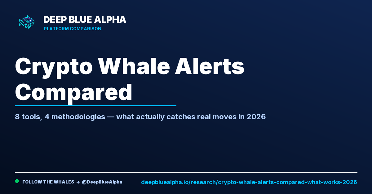 Crypto Whale Alerts Compared: What Actually Works for Catching Real ...